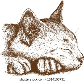 379 Pointillism Animal Stock Vectors, Images & Vector Art | Shutterstock