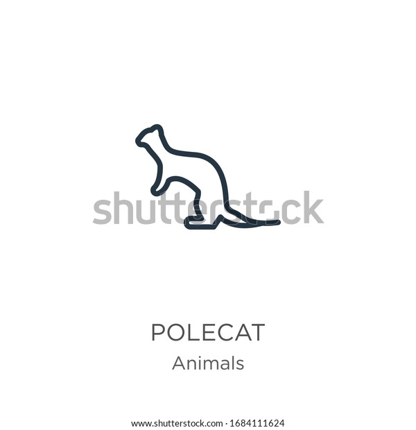 Polecat Icon Thin Linear Polecat Outline Stock Vector (Royalty Free ...