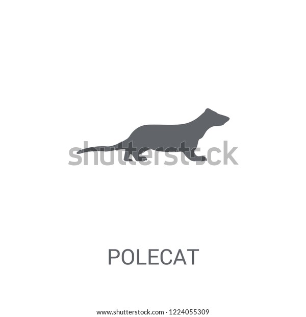Polecat Icon Trendy Polecat Logo Concept Stock Vector (Royalty Free ...