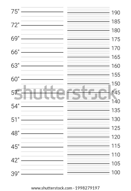 Police Mugshot Background Persons Height Measuring Stock Vector ...