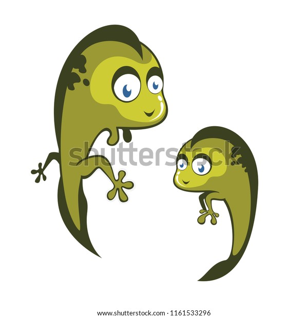 Pollywog Funny Mascot Stock Vector (Royalty Free) 1161533296 | Shutterstock