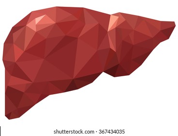 15,717 Abstract liver Images, Stock Photos & Vectors | Shutterstock