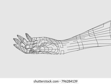 2,078 Human body wire frame Images, Stock Photos & Vectors | Shutterstock