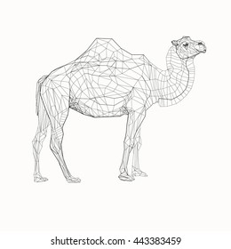 Polygonal Low Poly Illustration Camel Geometrical Stock Vector (Royalty ...