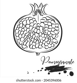 Pomegranate Line Art Vector Illustration Stock Vector (Royalty Free ...