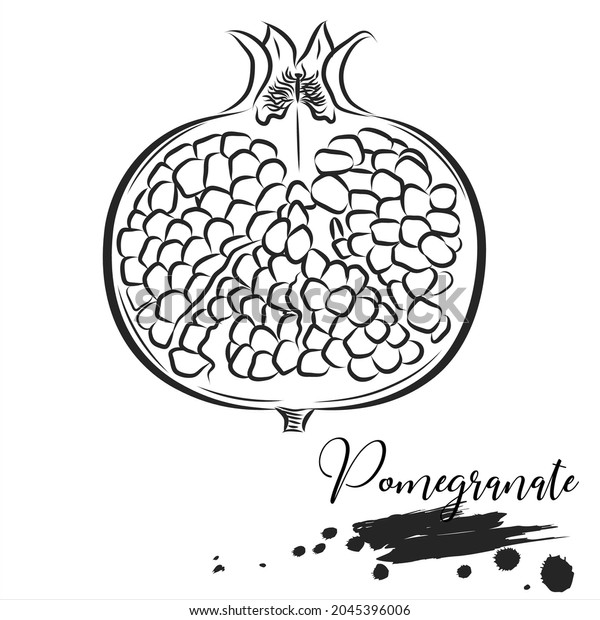 Pomegranate Line Art Vector Illustration Stock Vector (Royalty Free ...