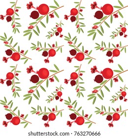 Pomegranate Tree Pattern Stock Vector (Royalty Free) 763270666 ...