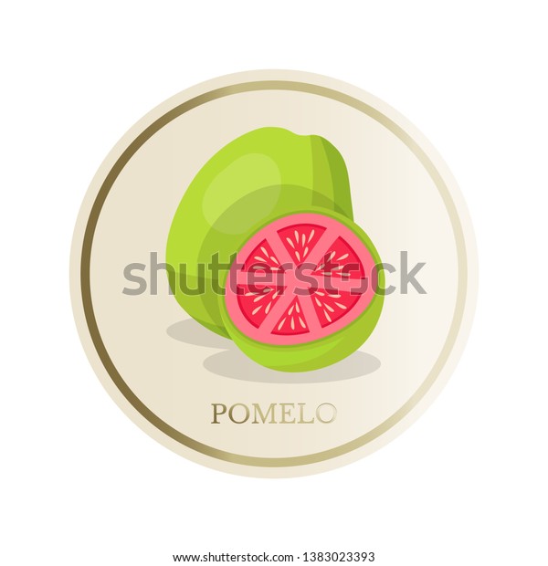 Pomelo Flat Circle Sticker Sliced Tropical Stock Vector (Royalty Free ...