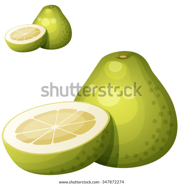 Pomelo Fruit Cartoon Vector Icon Isolated Stock Vector (Royalty Free ...