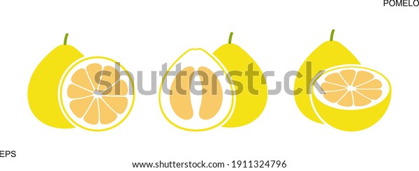 Pomelo Logo Isolated Pomelo On White Stock Vector (Royalty Free) 1911324796
