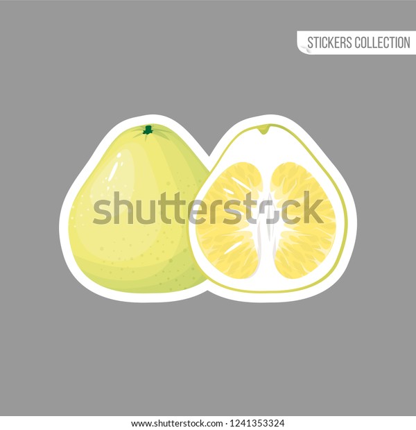 Pomelo Sticker Isolated On White Background Stock Vector (Royalty Free ...