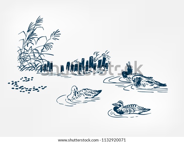Pond Ducks Japanese Vector Sketch Illustration Stock Vector (Royalty ...