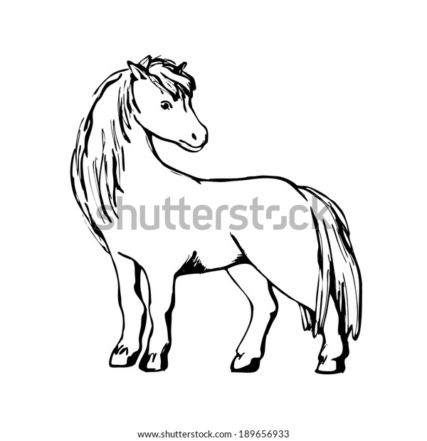 Pony Vector Hand Drawing Stock Vector (Royalty Free) 189656933