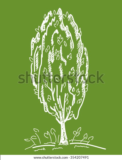Poplar Tree Vector Illustration Monochrome Tree Stock Vector (Royalty ...