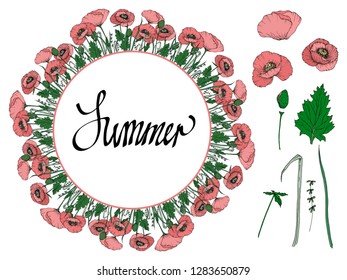 Poppy Circle Frame Floral Isolated Elements Stock Vector (Royalty Free ...