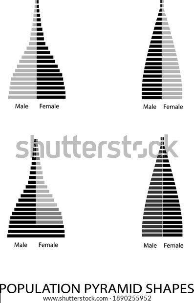 Population Demography Illustration 4 Types Population Stock Vector ...