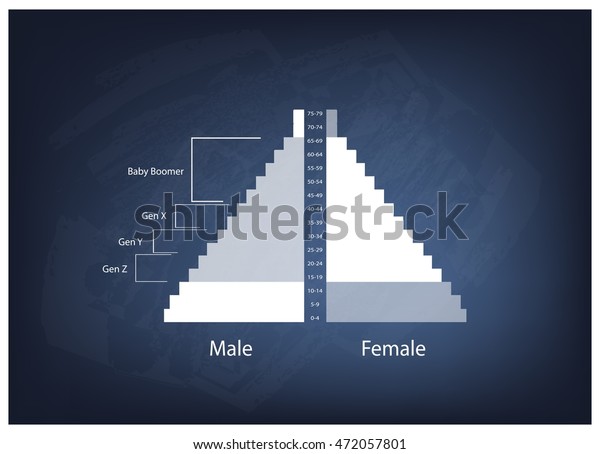 Population Demography Illustration Population Pyramids Chart Stock ...
