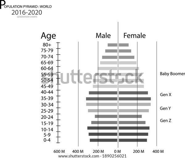 Population Demography Population Pyramids Chart Age Stock Vector ...