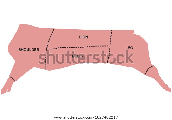 Pork Cuts Range Meat Charts Stock Vector (Royalty Free) 1829402219 ...