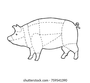 Pork Menu On White Background Scheme Stock Vector (Royalty Free ...