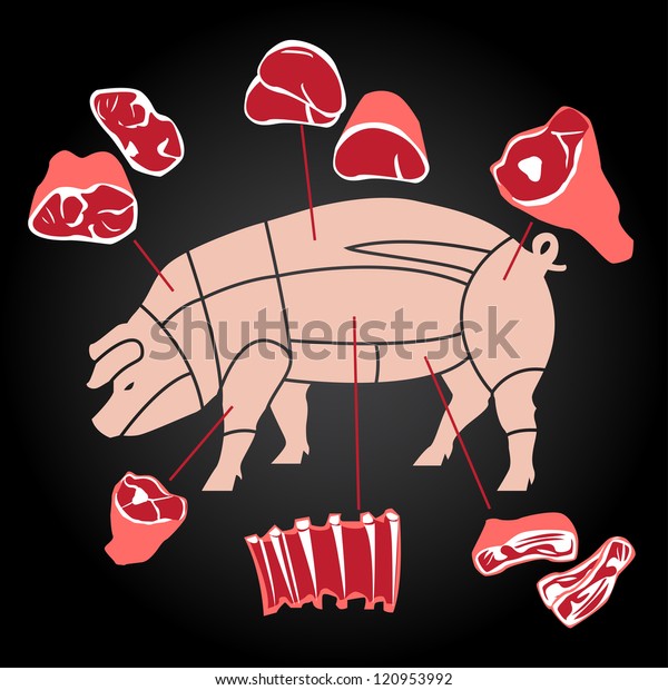 Pork Pig Meat Cuts Stock Vector (Royalty Free) 120953992