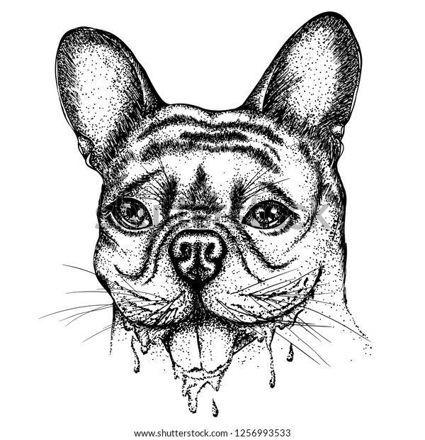 Portrait Bulldog Dripping Drool Vector Hand Stock Vector (Royalty Free ...