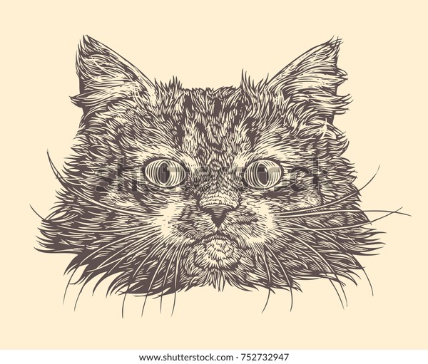 Portrait Cat Hand Drawn Engraving Vector Stock Vector (Royalty Free ...