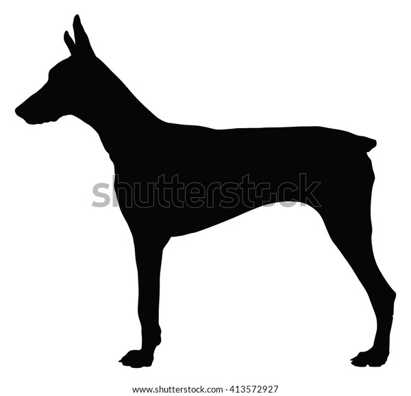 Vektor Stok Portrait Doberman Pincher Dog Vector Silhouette (Tanpa ...