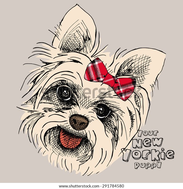 Retrato de un perro de Yorkshire terrier con un arco. Ilustración ...