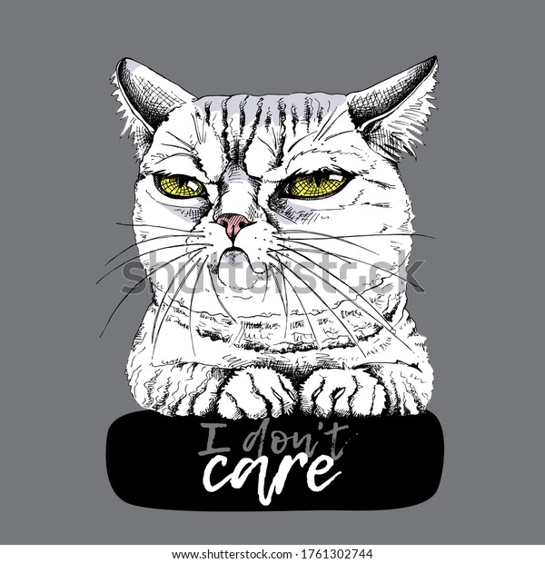 Portrait Funny Cat Dont Care Lettering Stock Vector (Royalty Free ...