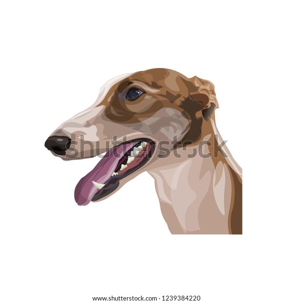 Portrait Greyhound Dog Vector Illustration Isolated Stock Vector ...