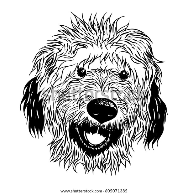 155 Cartoon Labradoodle Images, Stock Photos & Vectors | Shutterstock