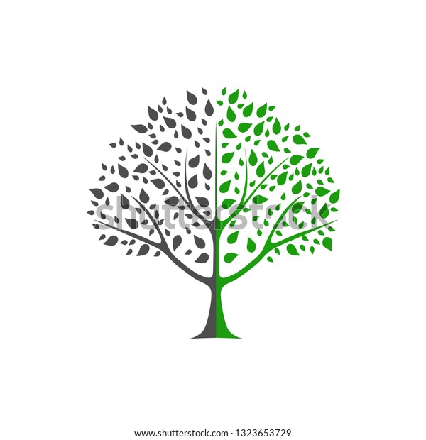 Positive Negative Tree Healthy Sick Tree Stock Vector (Royalty Free ...
