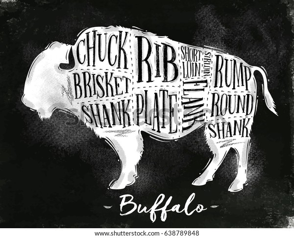 Poster Buffalo Cutting Scheme Lettering Chuck : image vectorielle de ...