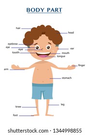 Cartoon Child Vocabulary Body Parts Vector Stock Vector (Royalty Free ...