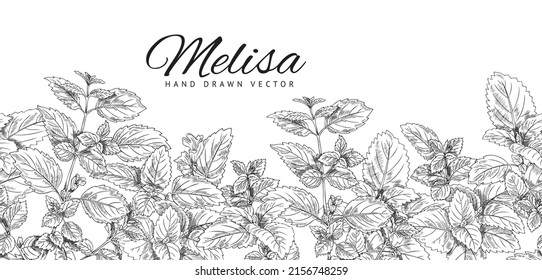 382 Mentha draw Images, Stock Photos & Vectors | Shutterstock