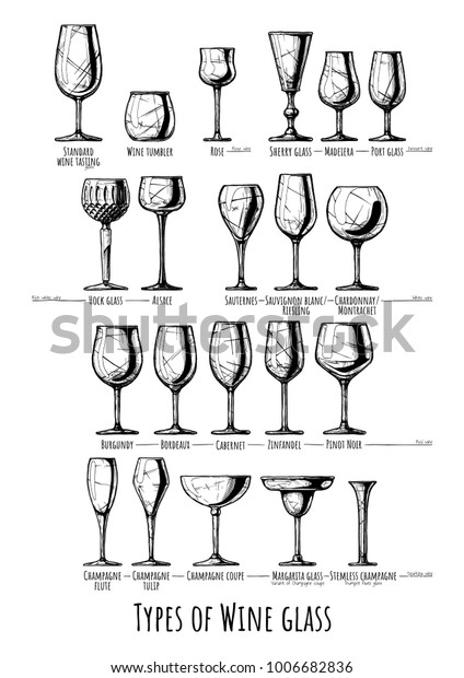 Poster Wine Glass Types Infographics Illustration Stock Vector (Royalty ...