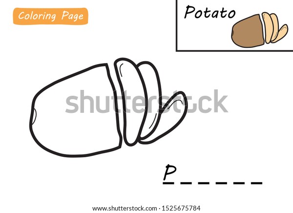 Potato Coloring Page Children Study Example Stock Vector (Royalty Free ...