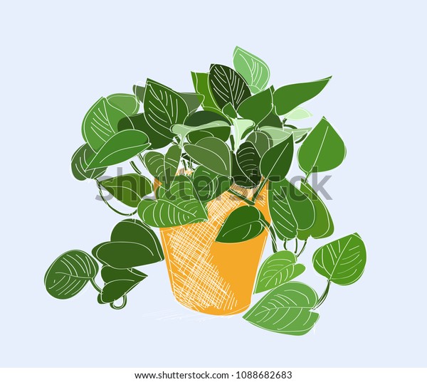 Potted Plant Hand Drawn Vector Illustration Stock Vector (Royalty Free ...