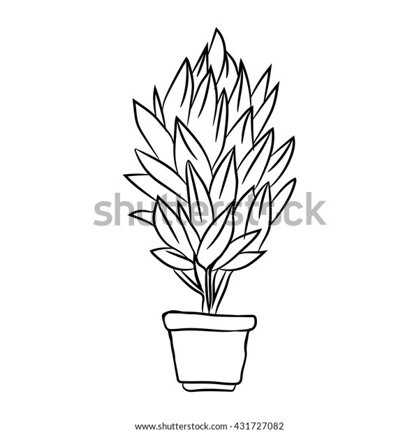 Potted Plant Outline Drawing Stock Vector (Royalty Free) 431727082 ...