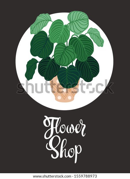 Potted Plants Flat Postcard Template Foliage Stock Vector (Royalty Free ...