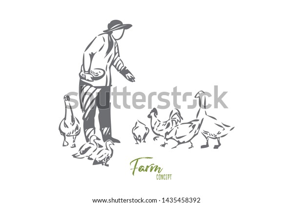 Poultry Farm Concept Sketch Isolated Vector Stock Vector (Royalty Free ...