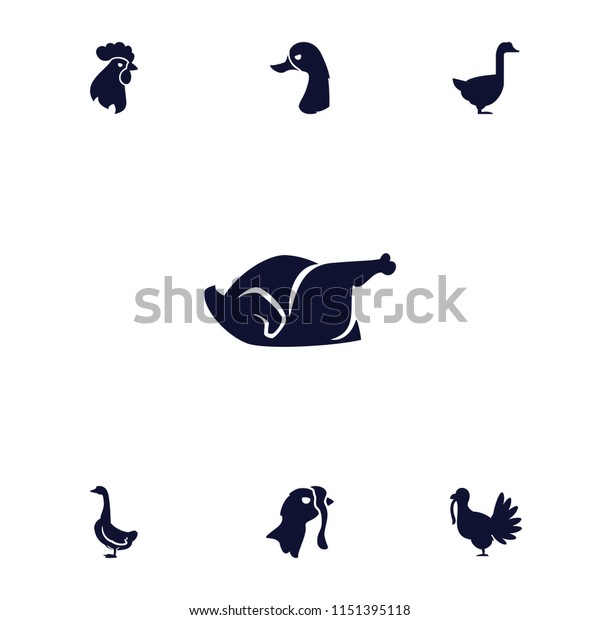 Poultry Icon Collection 7 Poultry Filled Stock Vector (Royalty Free ...