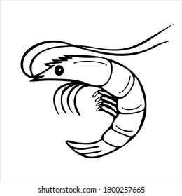Prawn Hand Drawn Isolated Vector Illustration Stock Vector (Royalty ...