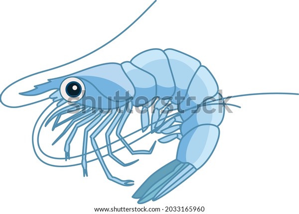 Prawns Cartoon Vector Art Illustration Stock Vector (Royalty Free ...