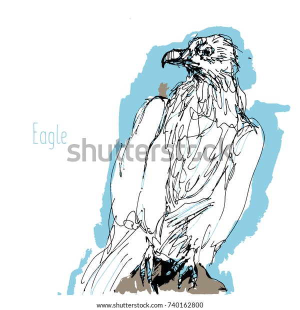 Predator Birds Vector Sketches Hand Drawn: vector de stock (libre de ...