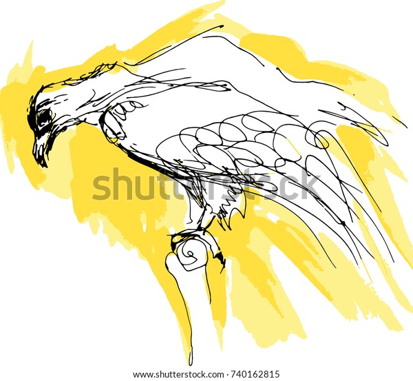 Predator Birds Vector Sketches Hand Drawn Stock Vector (Royalty Free ...