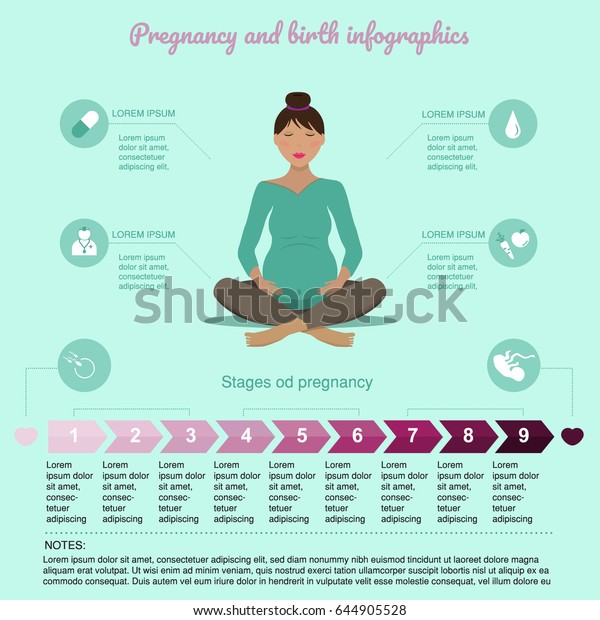 Pregnancy Birth Infographics Vector Illustration Stock Vector (Royalty ...