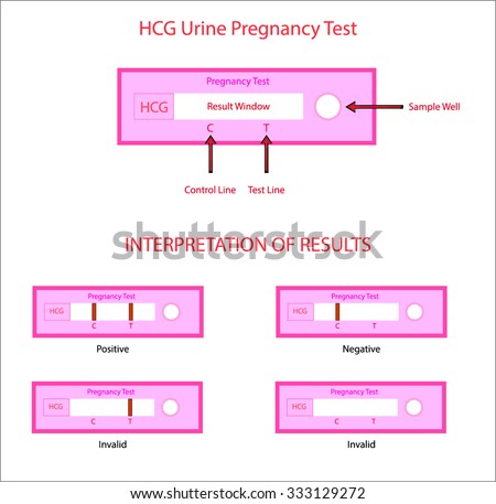 Pregnancy Test Interpretation Result Test HCG Urine Vector de stock ...