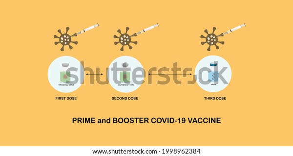 Prime Booster Covid19 Vaccination Vector Illustration Stock Vector ...